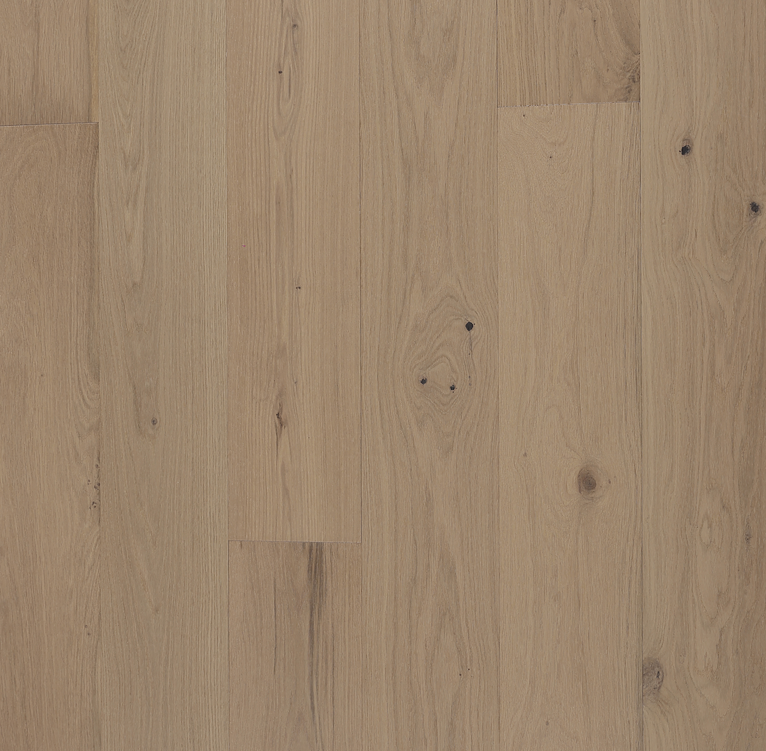 European Oak - Southern Ridge Sample*