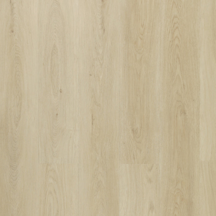 Midday Sunrise Sample*